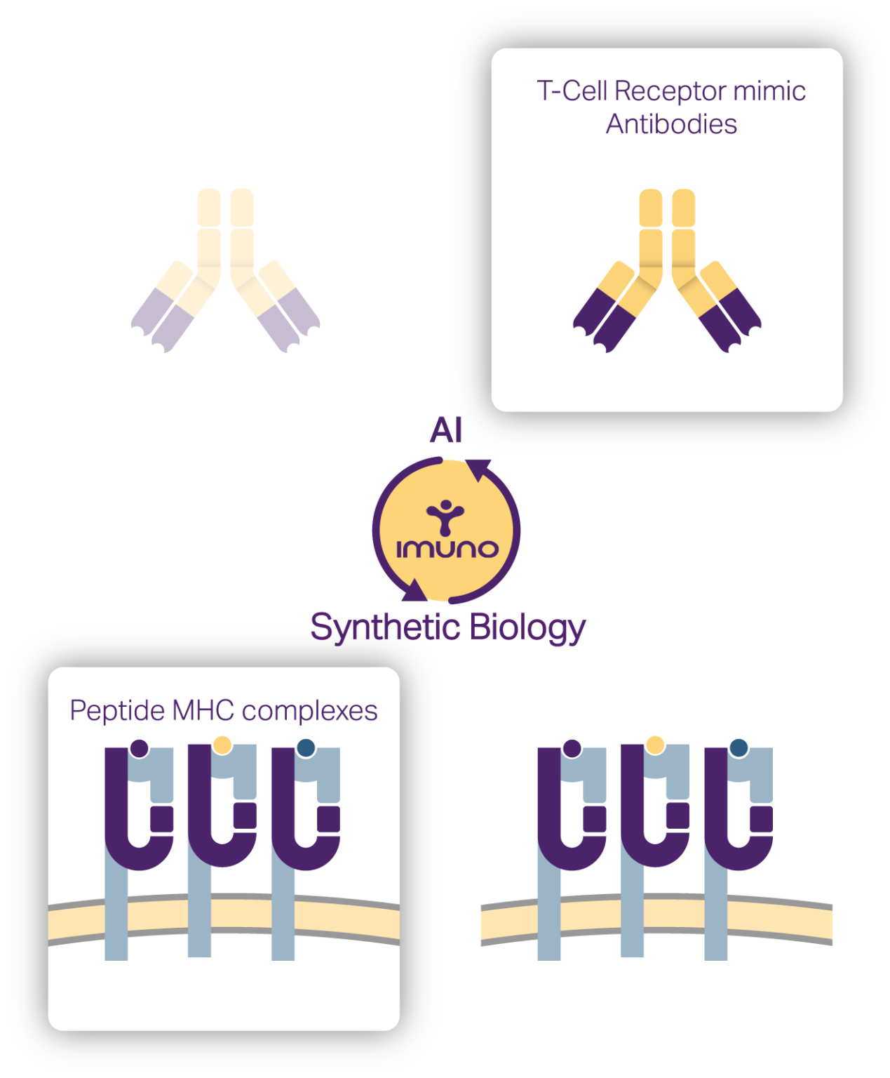 Precision immunotherapy for hard-to-treat cancers | Imuno